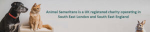 Animal Samaritans