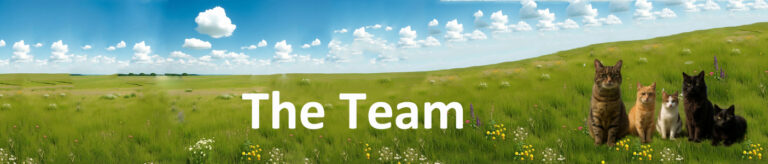 The Team – Animal Samaritans